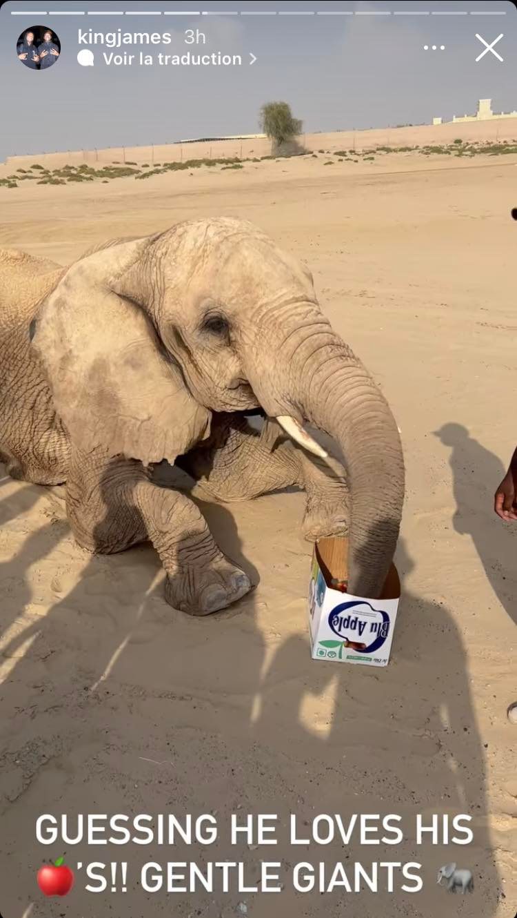 NBA - En plein trip à l’étranger, la drôle de rencontre de LeBron James