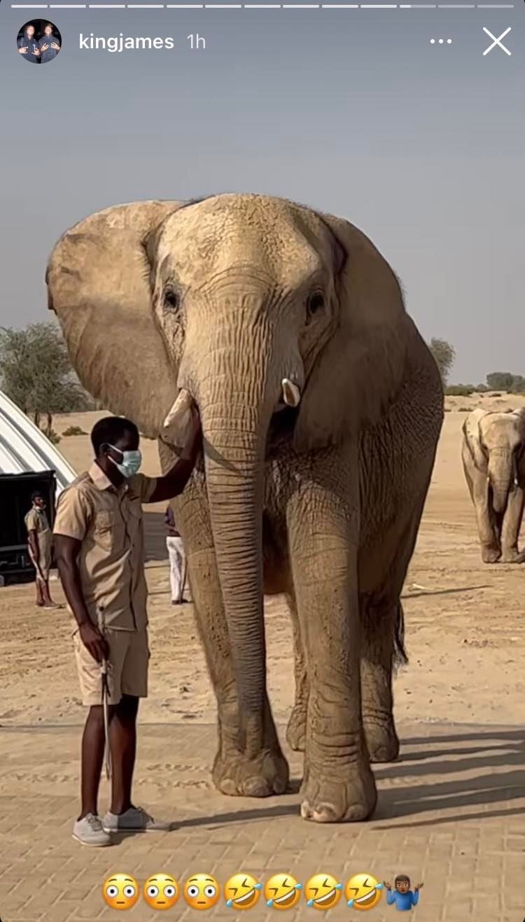 NBA - En plein trip à l’étranger, la drôle de rencontre de LeBron James